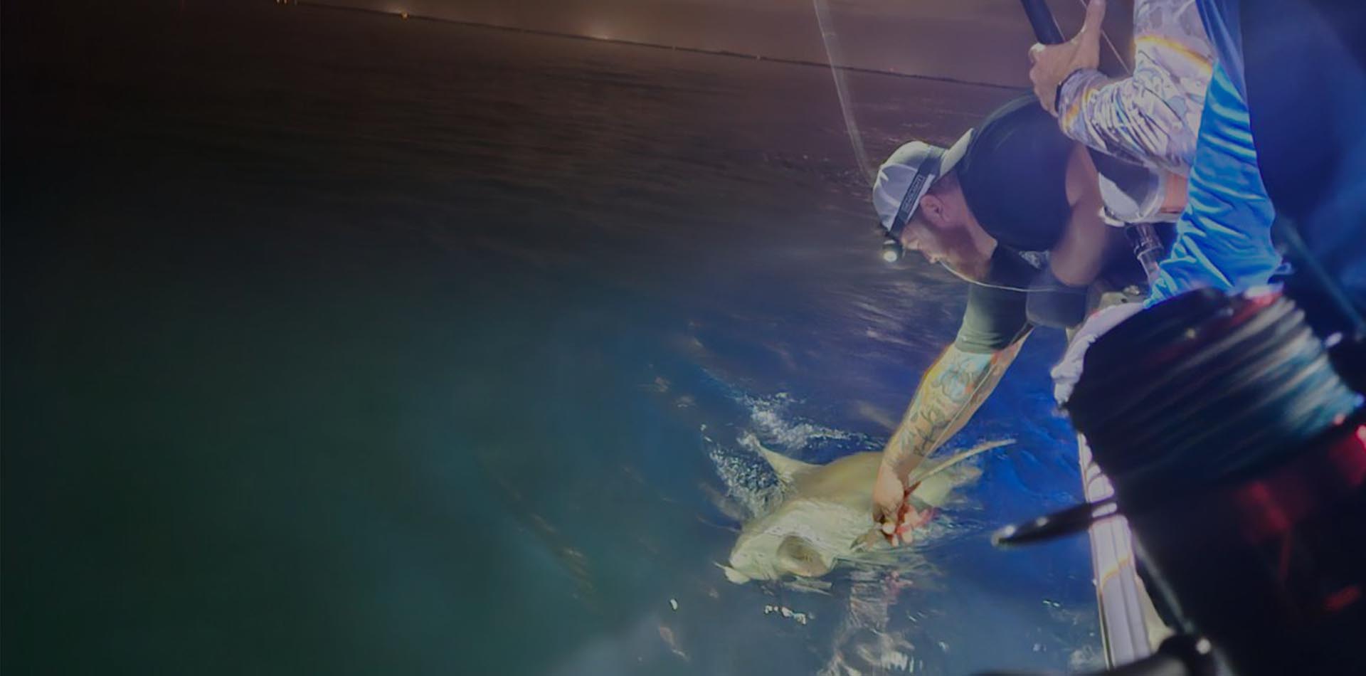 Connors Charters: Night Shark Fishing